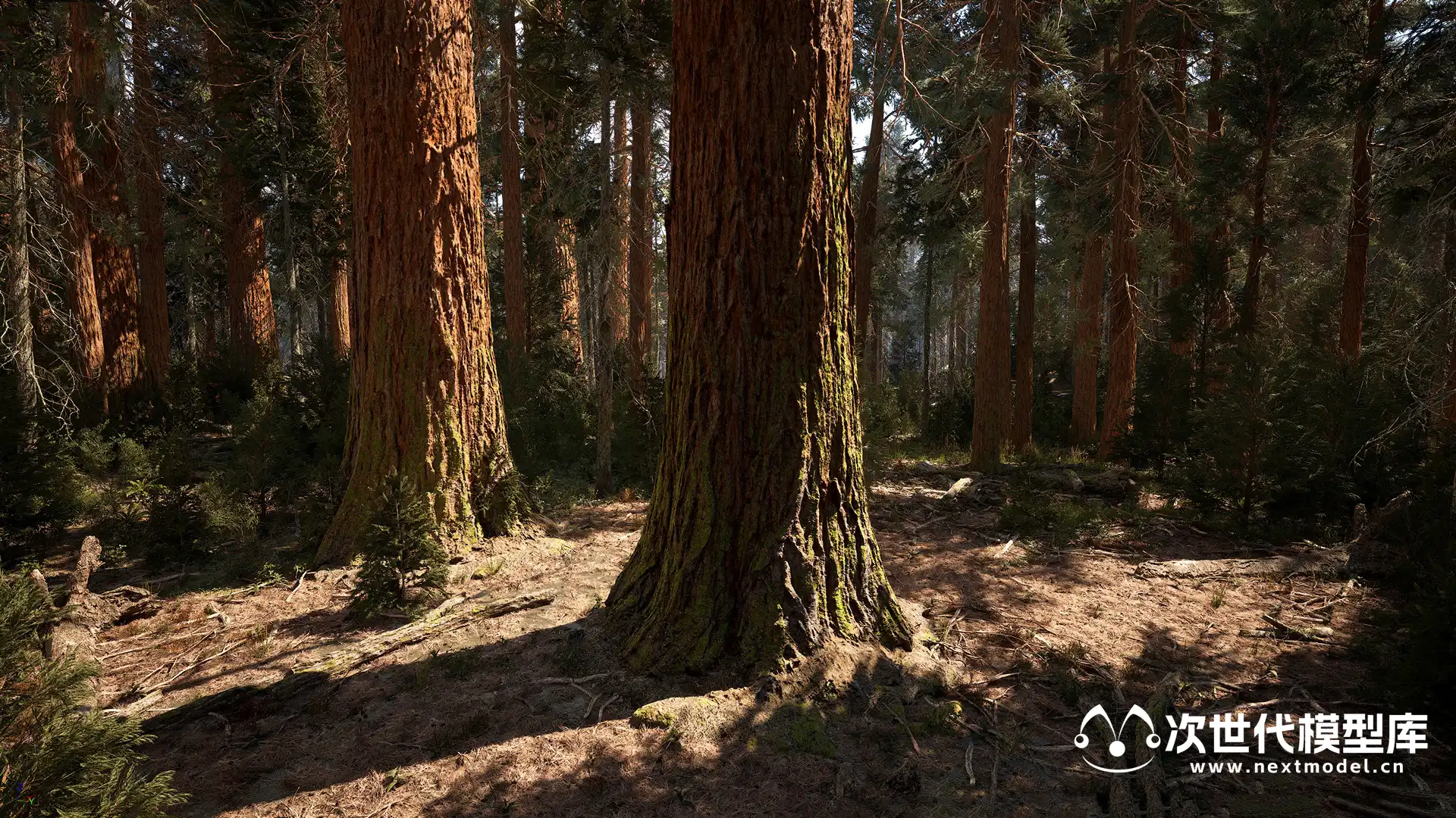 红杉树森林植物树木生物群落环境场景-次世代模型库