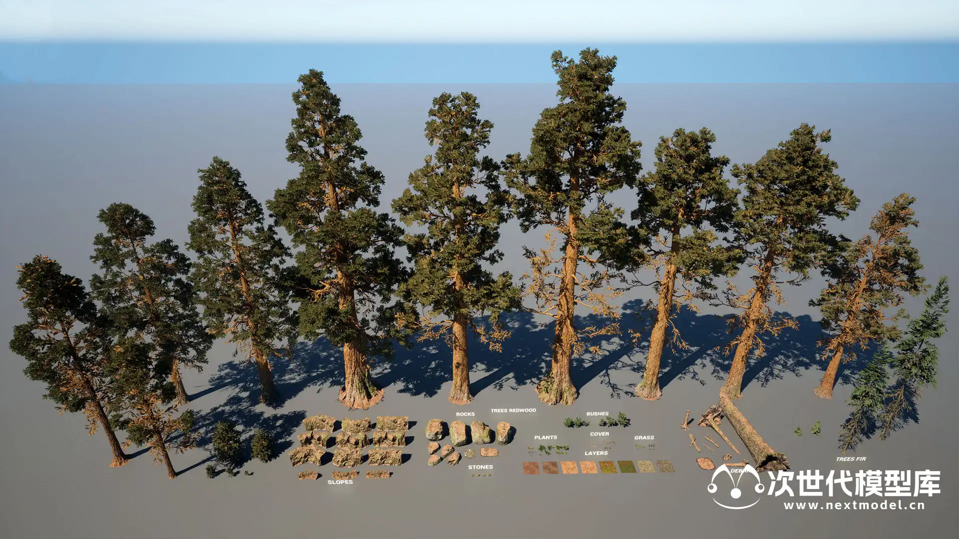 红杉树森林植物树木生物群落环境场景-次世代模型库